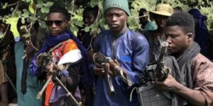 Bandits in the Forest, Fear of Wildlife Invasion and Attacks on Drivers ...